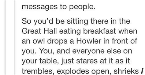 Im Starting To Think Me Not Getting My Hogwarts Letter Was Not An