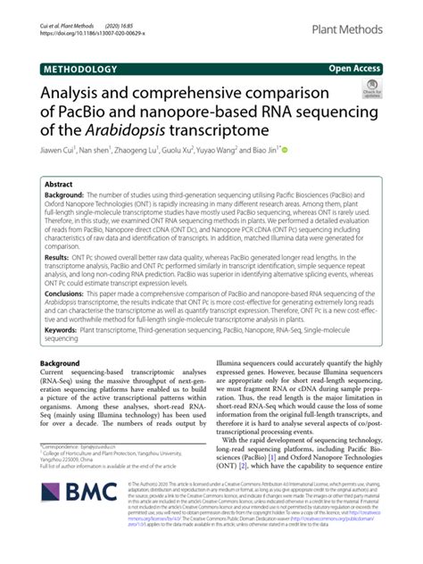 Analysis And Comprehensive Comparison Of Pacbio And Nanopore Based Rna Sequencing Of The