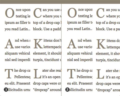 Decorative Drop Cap Initial