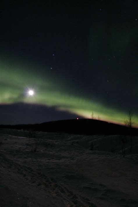 Free Picture Northern Lights Alaska Aurora Borealis Lights Night