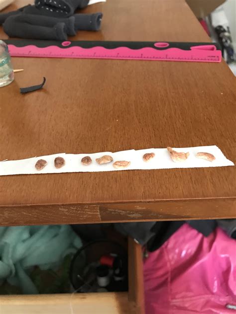 Tiny Bread R Miniatures