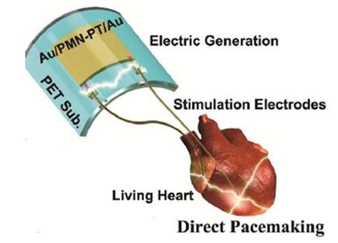 A New Source Of Everyday Energy Piezoelectricity Research Impact