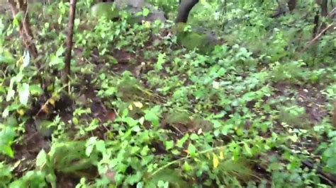 양구 계곡펜션 산골나그네 Youtube