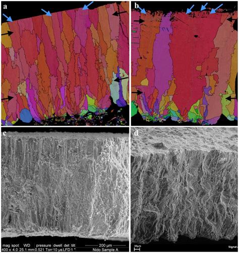 A An EBSD Orientation Map Of A Cross Section Through The Vs Download Scientific Diagram