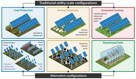 Agrivoltaics Finds New Fans In Us Senate Canary Media