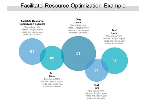facilitate resource optimization example ppt powerpoint presentation