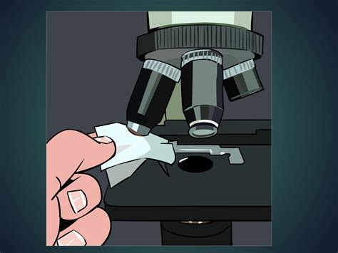 How To Use A Microscope With Pictures WikiHow
