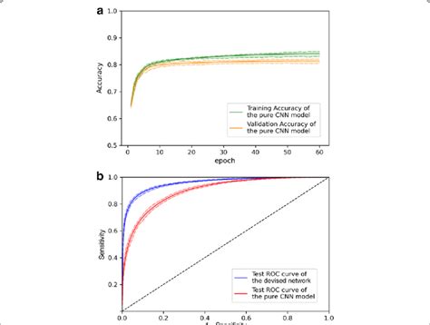 The Performance Comparison Of The Devised Model And The Pure Cnn Model Download Scientific