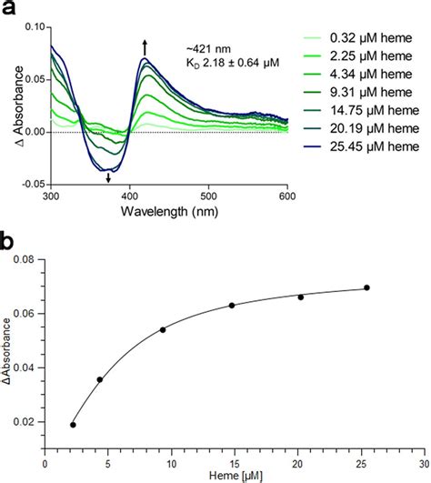 Heme Binding To The Gb1 Cbs1 40 Fusion Protein Determined By Uvvis
