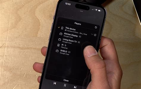 plexamp headless allows lossless audio streaming to speakers audio systems from a raspberry pi