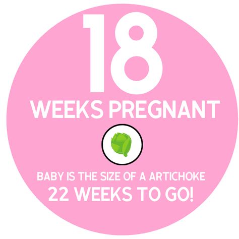 18 Weeks Swaddles N Bottles