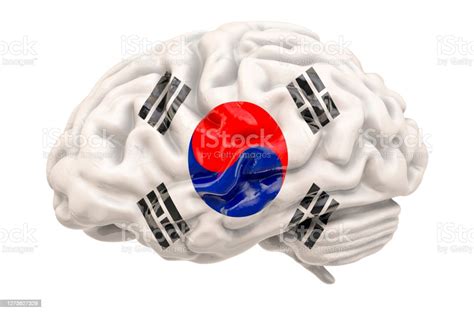대한민국 국기와 인간의 두뇌 한국 개념의 과학 연구 및 교육 흰색 배경에 고립 된 3d 렌더링 3차원 형태에 대한 스톡 사진 및
