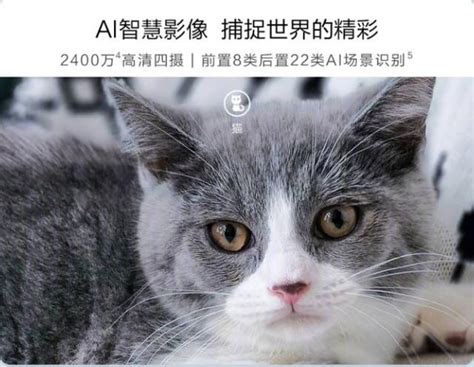 2400萬高清四攝，一組圖片幫你快速讀懂華為nova3手機 每日頭條