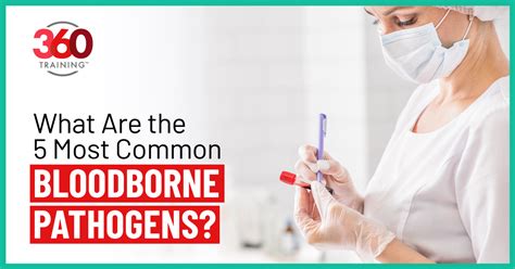 What Are The 5 Most Common Bloodborne Pathogens 360training