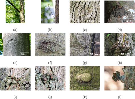 Figure 1 From A Machine Learning Approach For Classifying Defects On