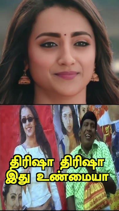 திரிஷா திரிஷா இது உண்மையா Trisha Krishnan Trisha Life Trisha