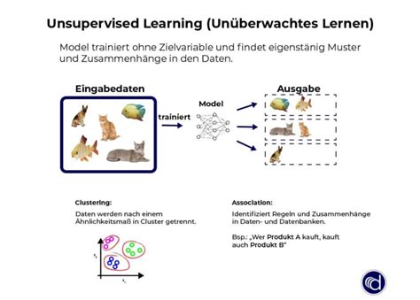 Unsupervised Learning Definition Arten And Beispiele Datasolut Wiki