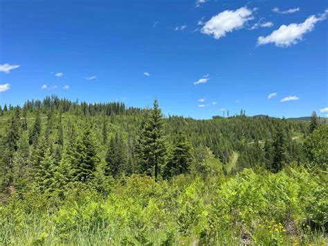 Tree Line Track Idaho GPS Trail Map Conditions Difficulty OnX Offroad