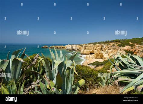 Algarve Portugal Rock Coast Rock Coasts Coast Seashore Sea Coasts