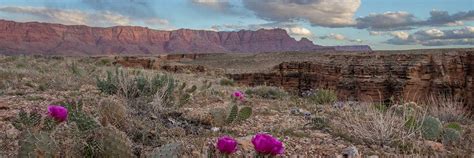 Grand Canyon National Monument Grand Canyon Trust