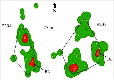 Representative Minimum Convex Polygon Mcp And Fixed Kernel Kde Home