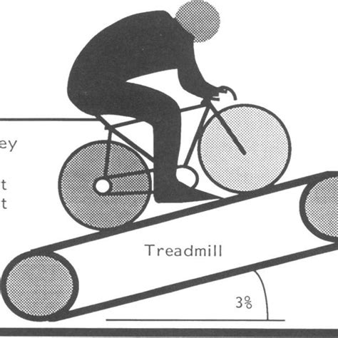 Treadmill Cycle Ergometry Download Scientific Diagram