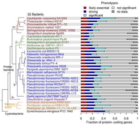 Living Large Exploration Of Diverse Bacteria Signals Big Advance For
