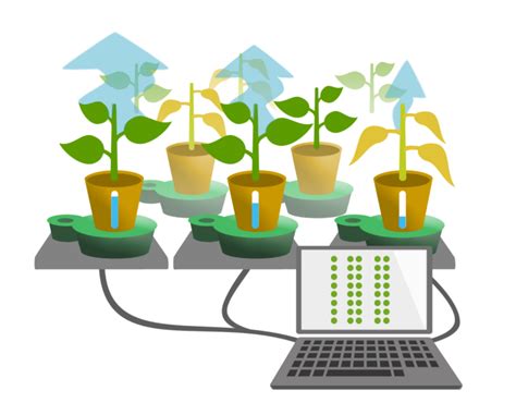 Plant Phenotyping Automated Phenotype Platform Plant Ditech