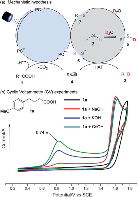 A Mechanistic Hypothesis B Cyclic Voltammetry Cv Experiments Download Scientific Diagram