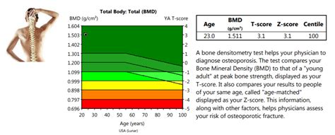 Dexa Scans My Results And Three Elements Essential To Longevity