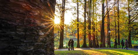 华南植物园揭示增温条件下叶际微生物群落的季节变化特征 中国科学院华南植物园