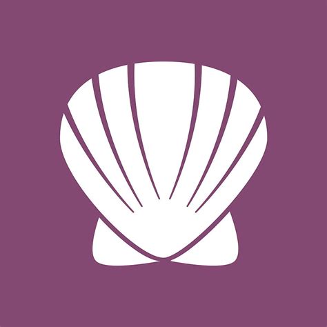 가리비 껍질 스케치 스타일 현실적인 벡터 Eps Ai Uidownload