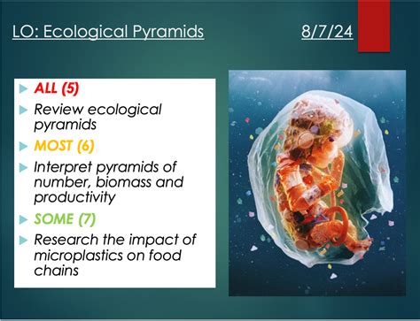 ess ecology unit subtopic 2 2 standard level energy and biomass first teaching 2024