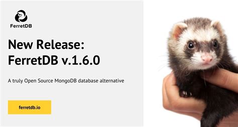 Ferretdb Blog Ferretdb Blog