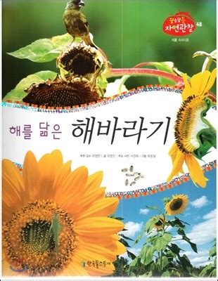 꿈틀꿈틀 자연관찰 48 해를 닮은 해바라기 속씨식물 예스24
