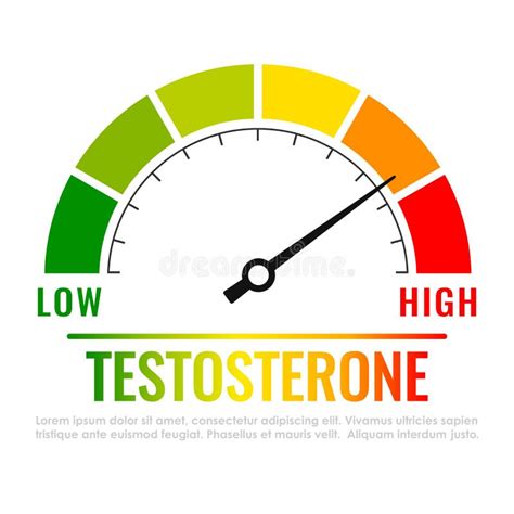 Testosterone Level Metering Scale Stock Vector Illustration Of Graph