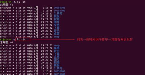 01 Linux目录操作和文件操作没有原子目录路径的路径是哪个 Csdn博客