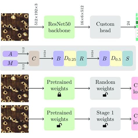 A The Cnn Architecture Comprises A Resnet50 Backbone With A Custom