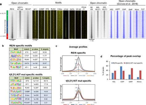 Runx1eto And Mutant Kit Both Contribute To Programming The Transcriptional And Chromatin