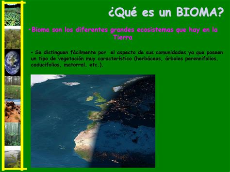 Solution Biomas Terrestres Studypool