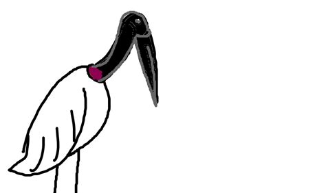 Tuiuiú Desenho De Picapaubiruta Gartic