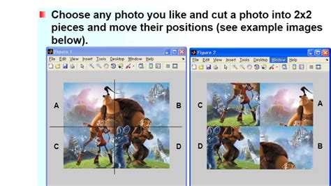 Solved Python Choose Any Photo You Like And Cut A Photo Chegg Com