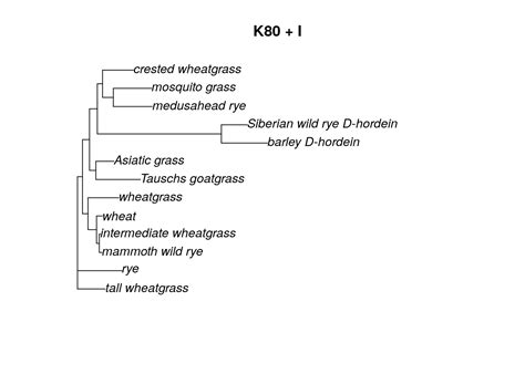 Chapter 18 Estimating A Tree Using Maximum Likelihood Molecular