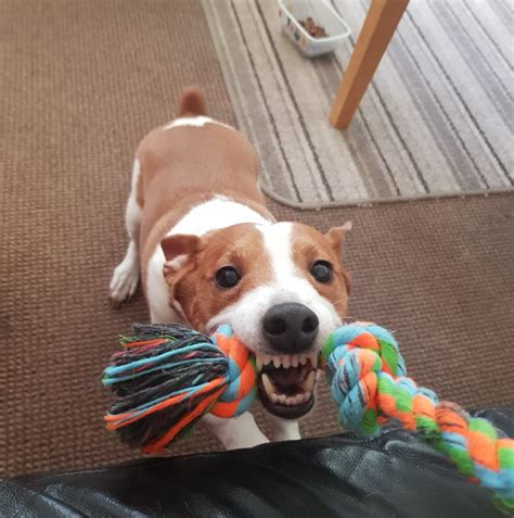 Denise Mitchell Td Added A New Photo Denise Mitchell Td