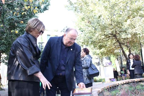 რუსთავის მერია Rustavi City Hall ზაქარია ფალიაშვილის სახელობის