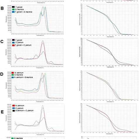 Derivative Melting Curve A Normalized Melting Curve B And Download Scientific Diagram