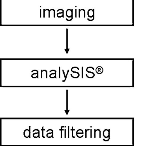 Flow Chart Of The Steps To Be Performed During The Process Of Pellet Download Scientific