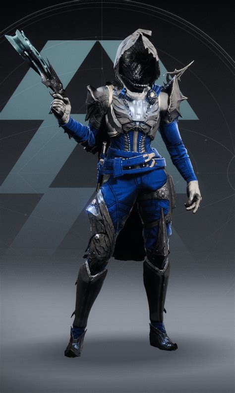 The Hive Assassin Rdestinyfashion
