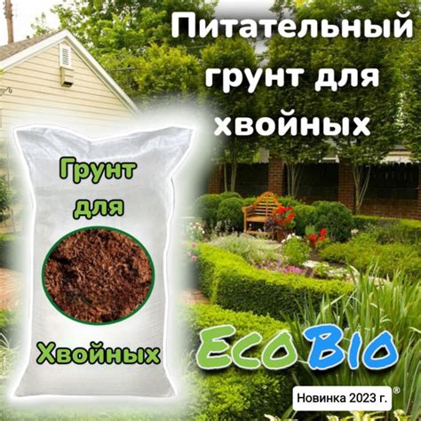 Грунт для хвойных растений купить в Минске