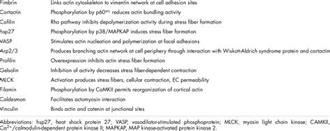 Proteins Involved In Regulating Endothelial Cell Barrier Function